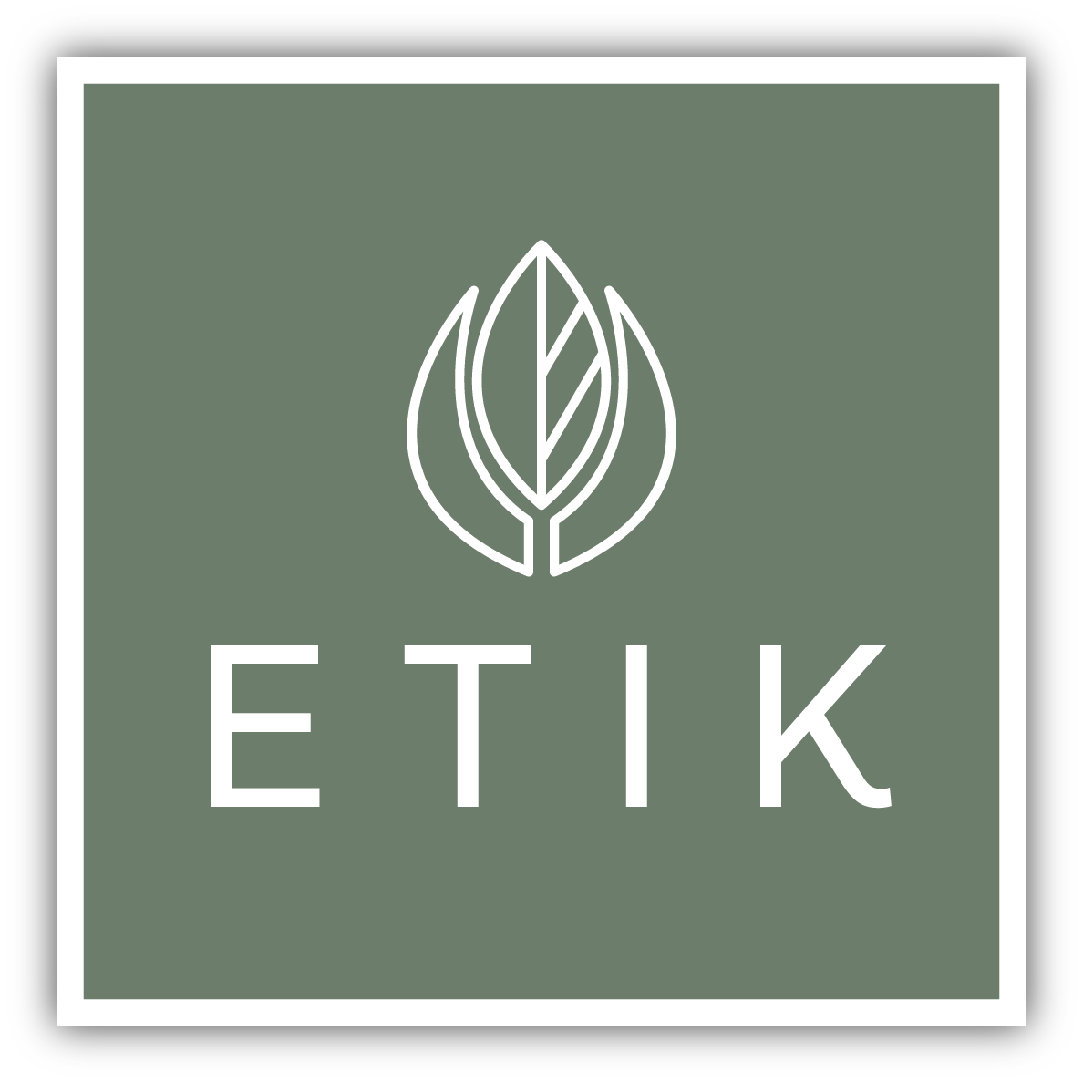 Etik, logements neufs à Saint-Nazaire - P2i